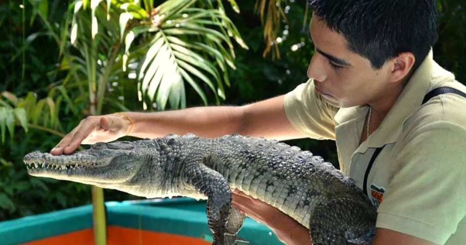 坎昆必访之地，坎昆有趣的活动